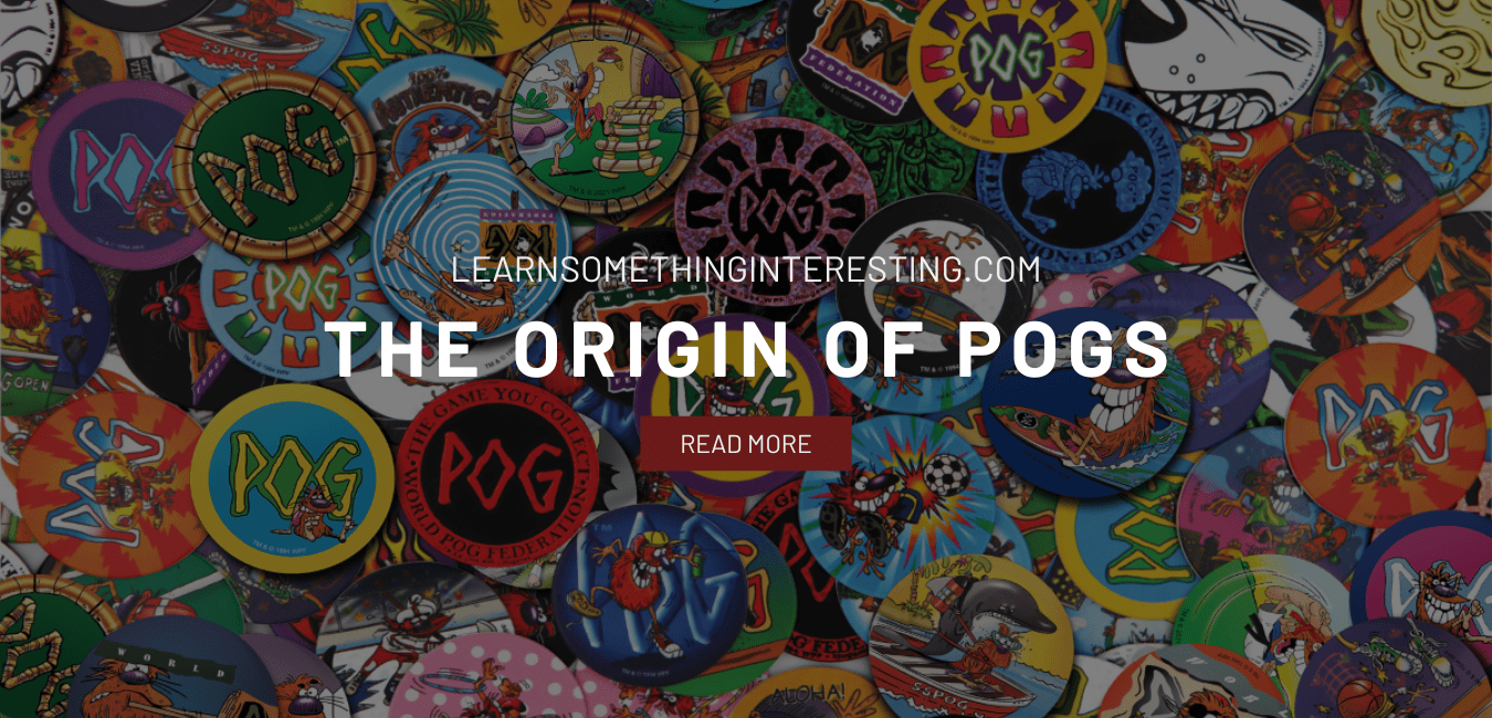 Learn Something Interesting: The Origin of Pogs