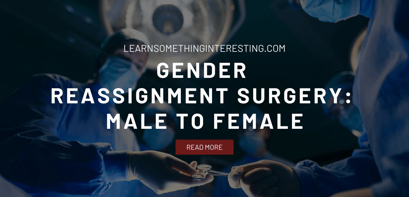 Learn Something Interesting: Gender Reassignment Surgery: Male to Female