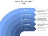 Sql 101 A Beginner S Guide To Sql Database Programming Learnsql