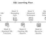 Your New Personalized Sql Learning Plan Learnsql
