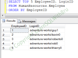 Sql Server String Function Replace With Examples Learn Sql With Bru