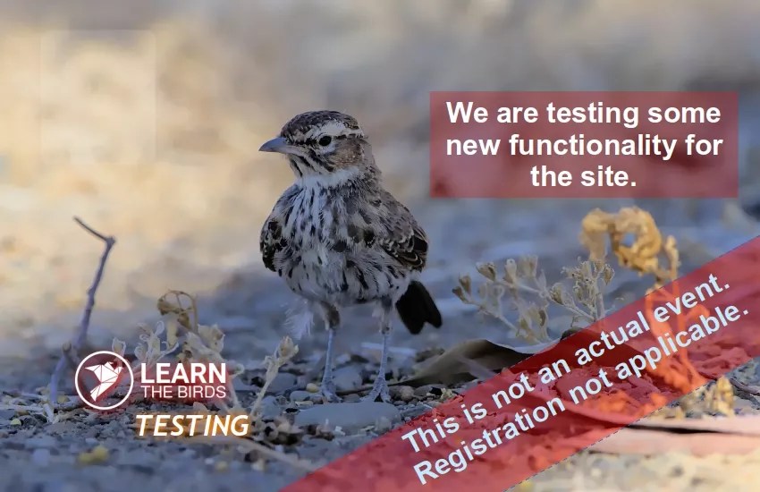 testing-thumb – Learn the Birds