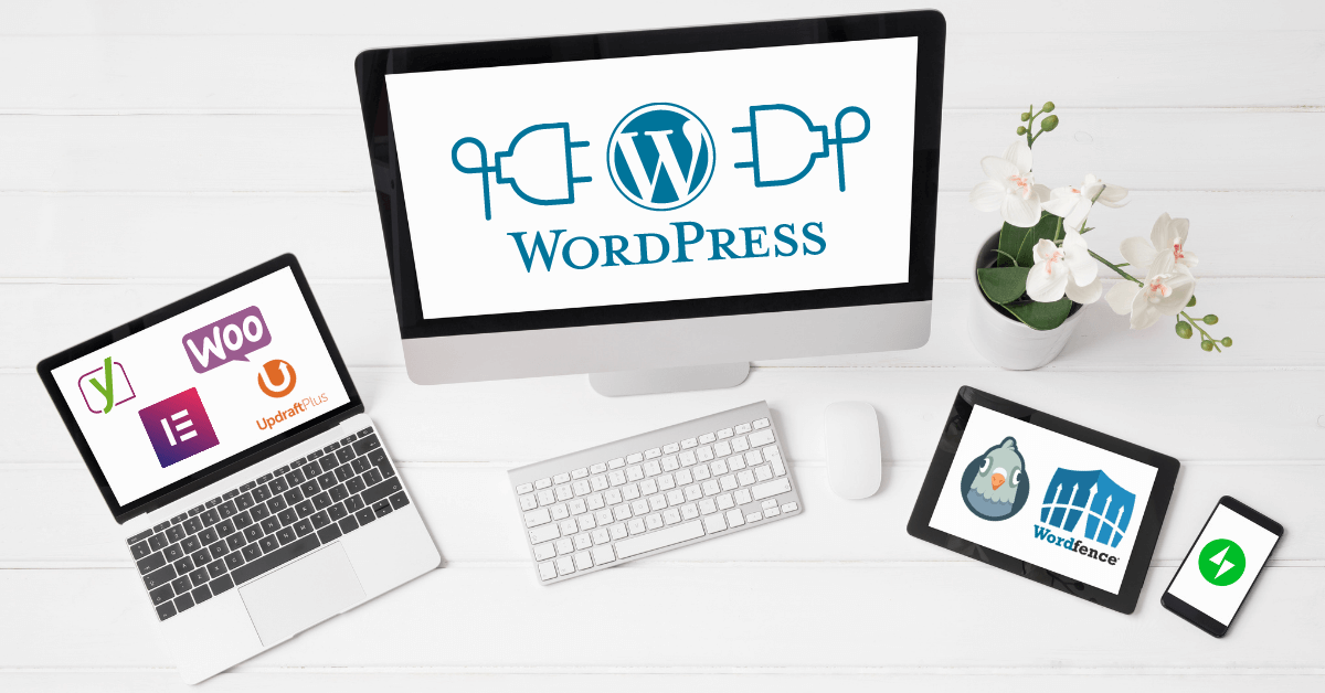 What is a Plugin in WordPress? 5 Must-Have Plugins in WordPress
