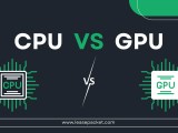 Cpu Vs Gpu Learning Similarities And Differences
