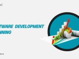 Software Development Planning Step By Step Guide 2025