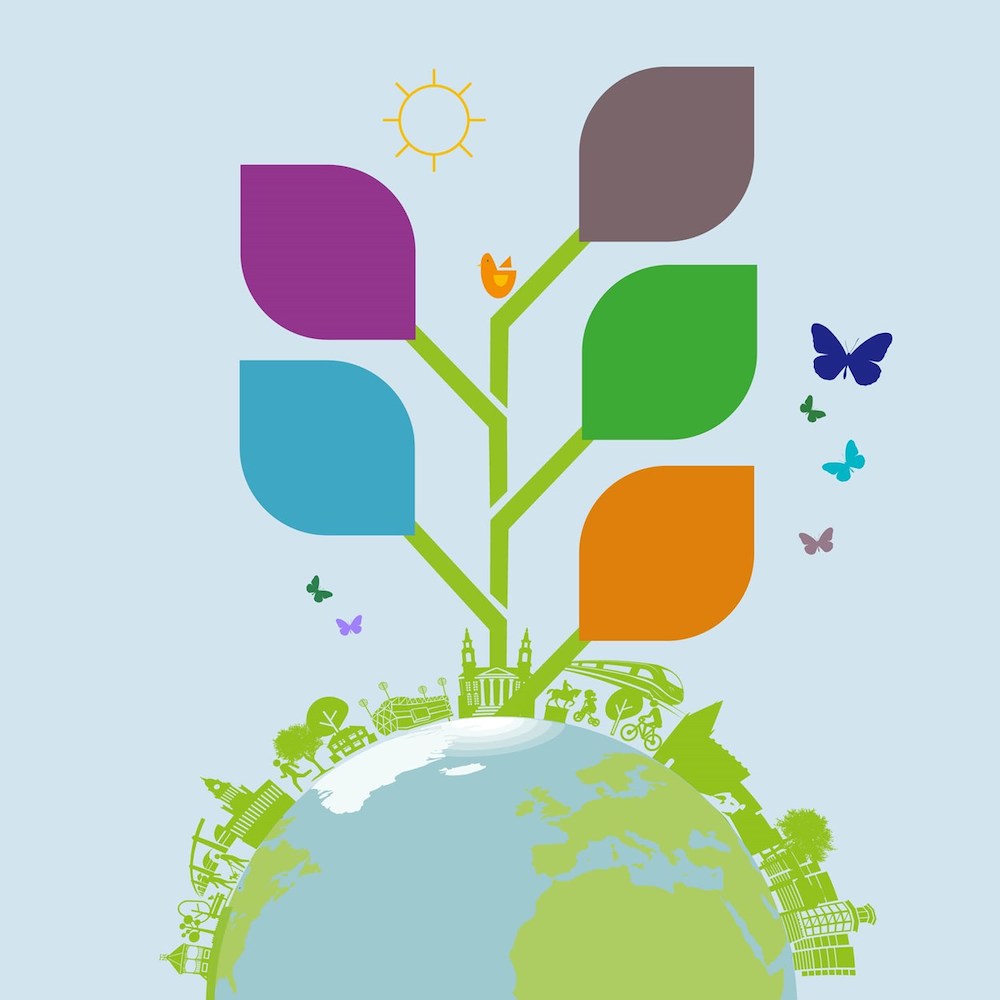 Leeds Local Plan Update: Your Neighbourhood, Your City, Your Planet is ...