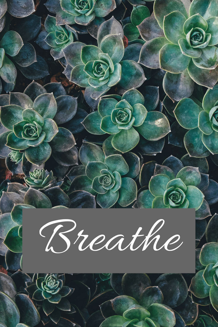 5 Ways to Be Mindful While Using Your Phone - Left Brain Buddha