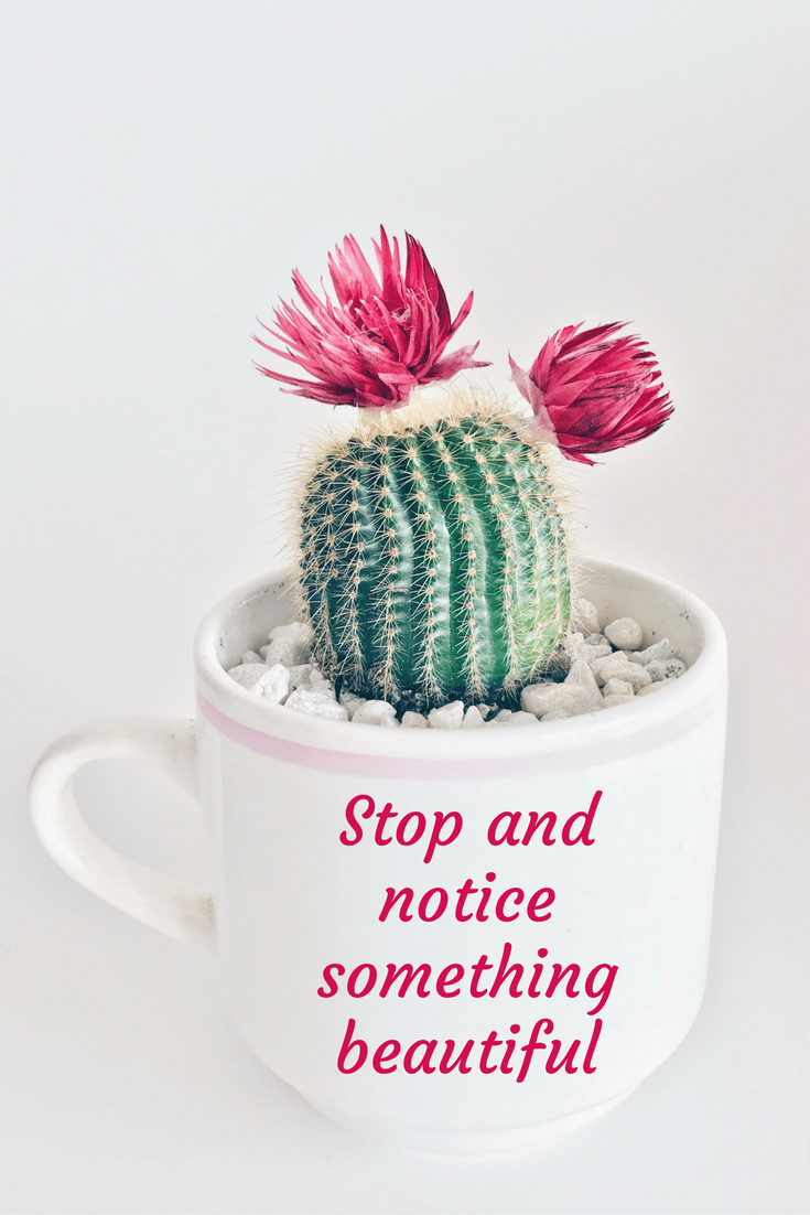 5 Ways to Be Mindful While Using Your Phone - Left Brain Buddha