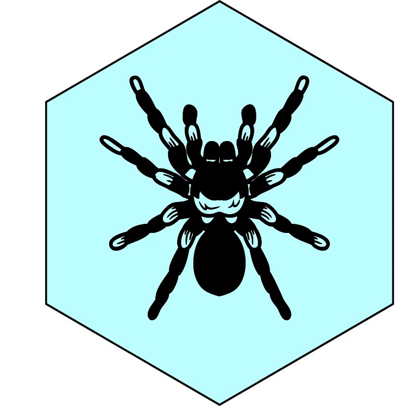 Mate Choice in Spiders - Lesson Hive