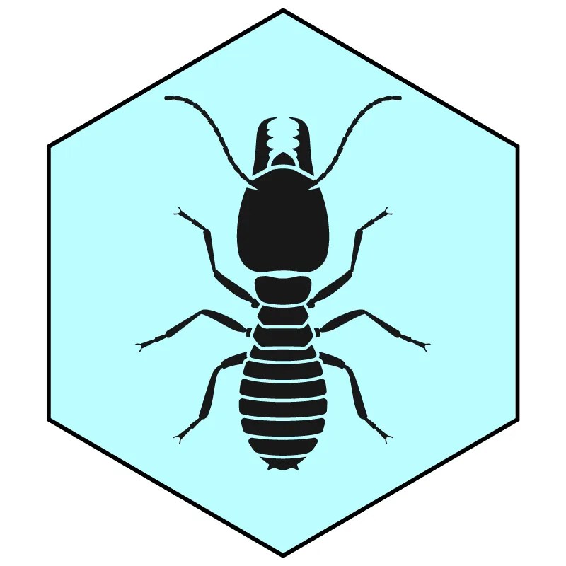 Ecosystem Effects of Termite Mounds - Lesson Hive
