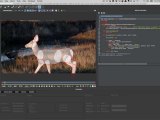 Mocha Pro 5 Will Add Python Scripting Module Gpu Tracking Lesterbanks