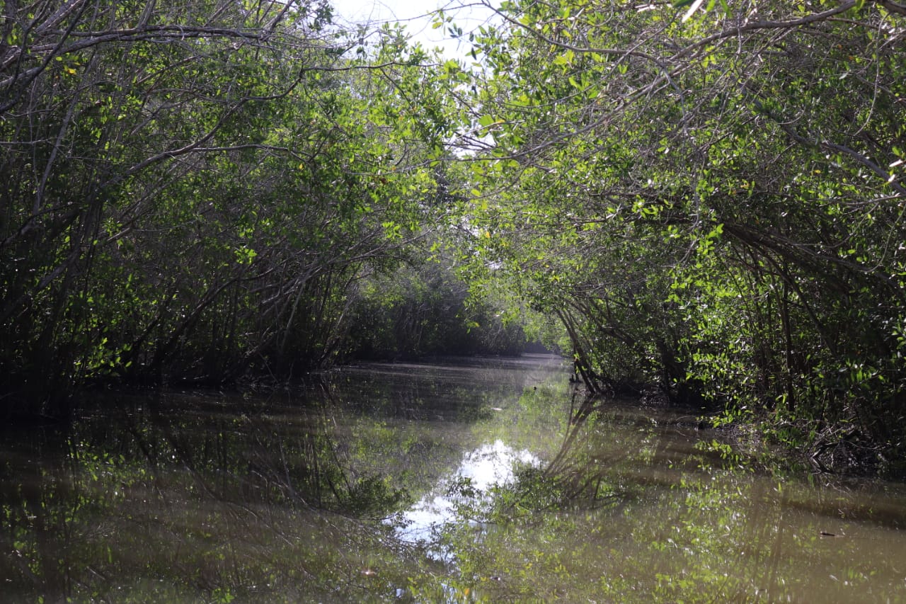 Tomatlán, municipio con más humedales Ramsar en México - Letra Fría