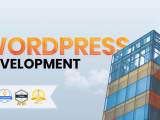 Wordpress Website Development Let S Get Optimized