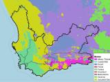 Western Cape Lets Respond Toolkit