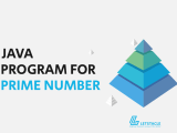 Prime Number Program In Java Prime Checker Java Code Letstacle