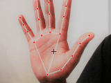 Hand Gesture Recognition Opencv Python Letstacle