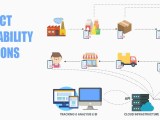 Product Traceability Solutions Letsverify Traceability Experts