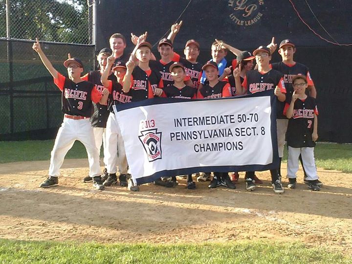 Levittown Little Leaguer's Win Sectional Title, Advance to State ...