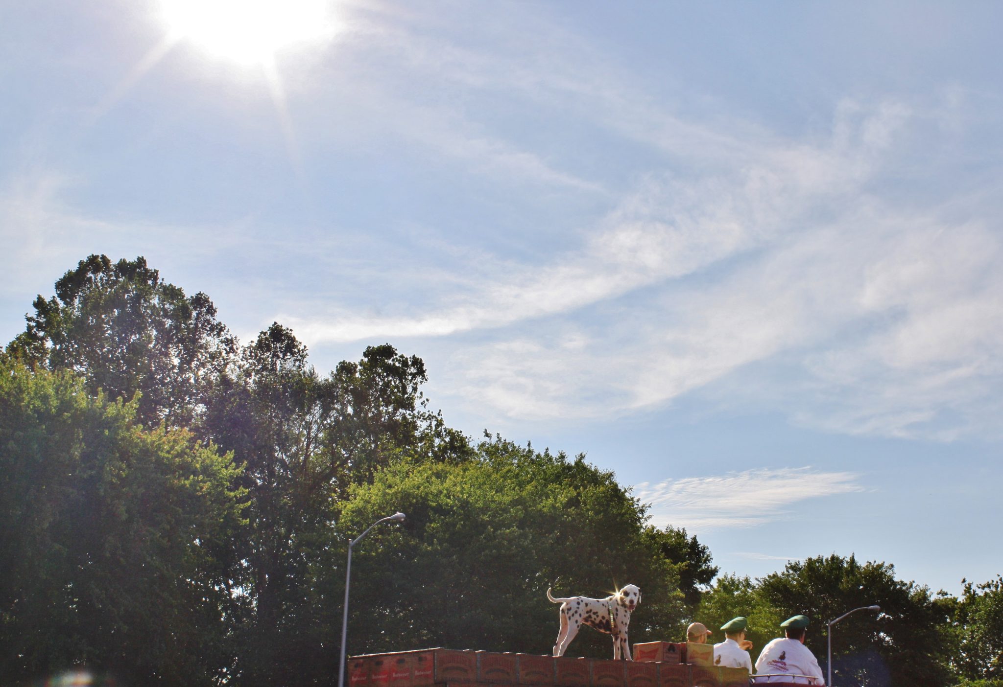 Spectators Pack Bristol To See Budweiser Clydesdales - LevittownNow.com