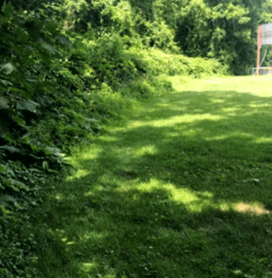 Township Looks To Spruce Up Spring Valley Farm - LevittownNow.com