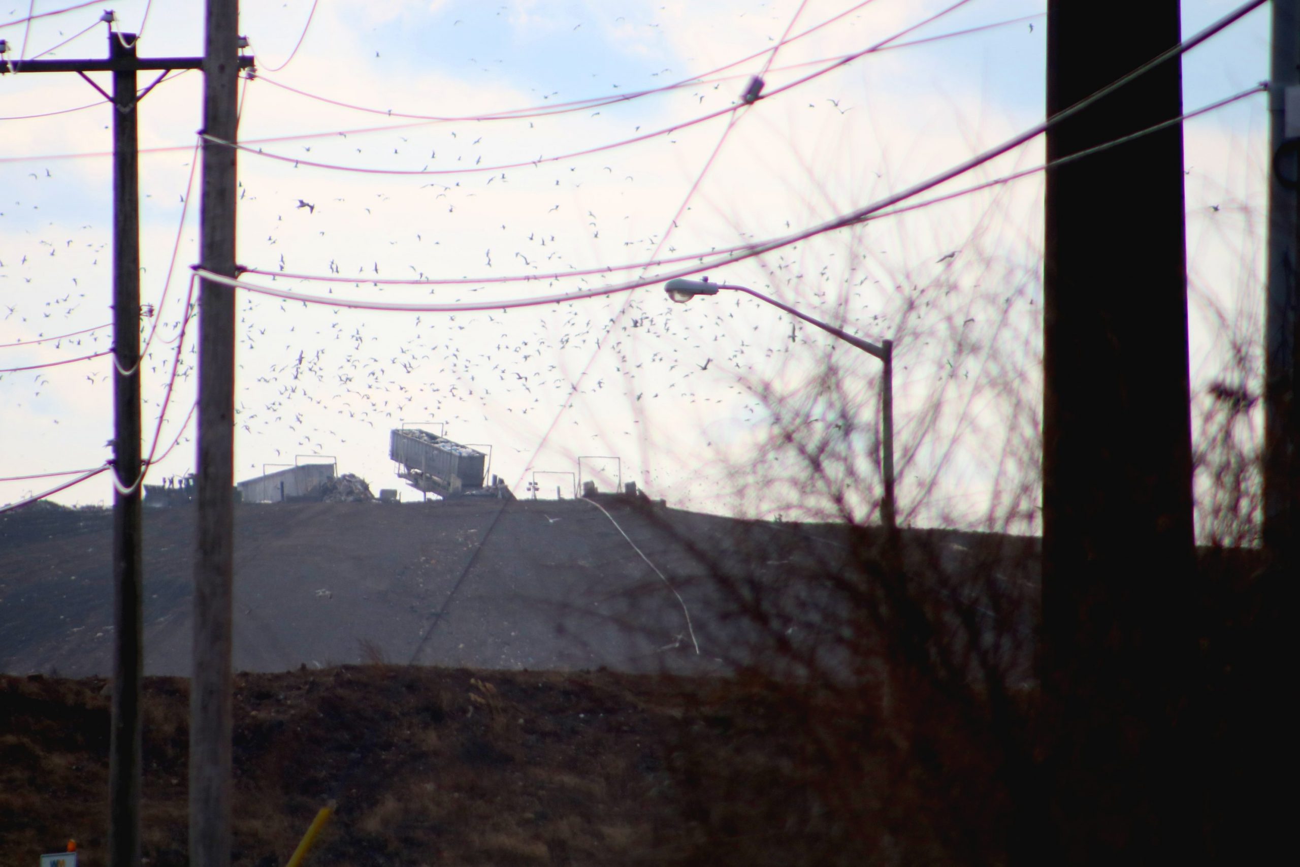 PHOTOS: Busy Morning At Fairless Landfill - LevittownNow.com