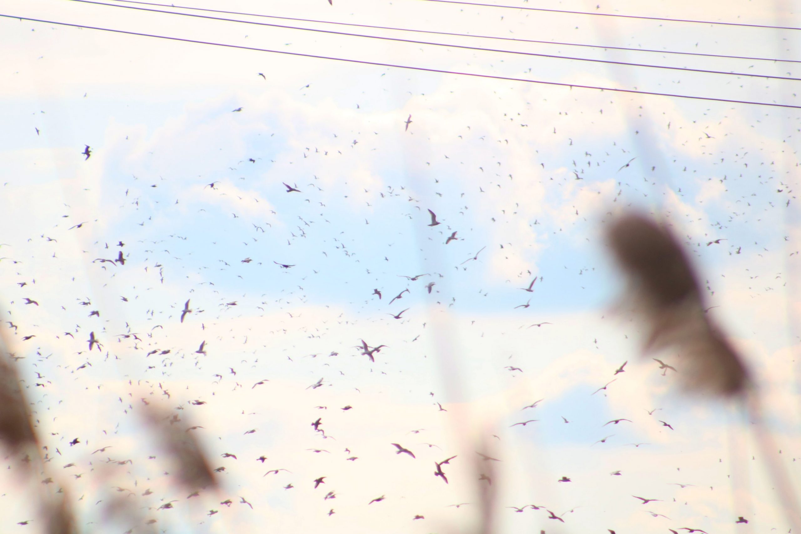 PHOTOS: Busy Morning At Fairless Landfill - LevittownNow.com