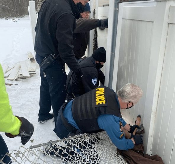 Police, Firefighters Free Stuck Deer - LevittownNow.com