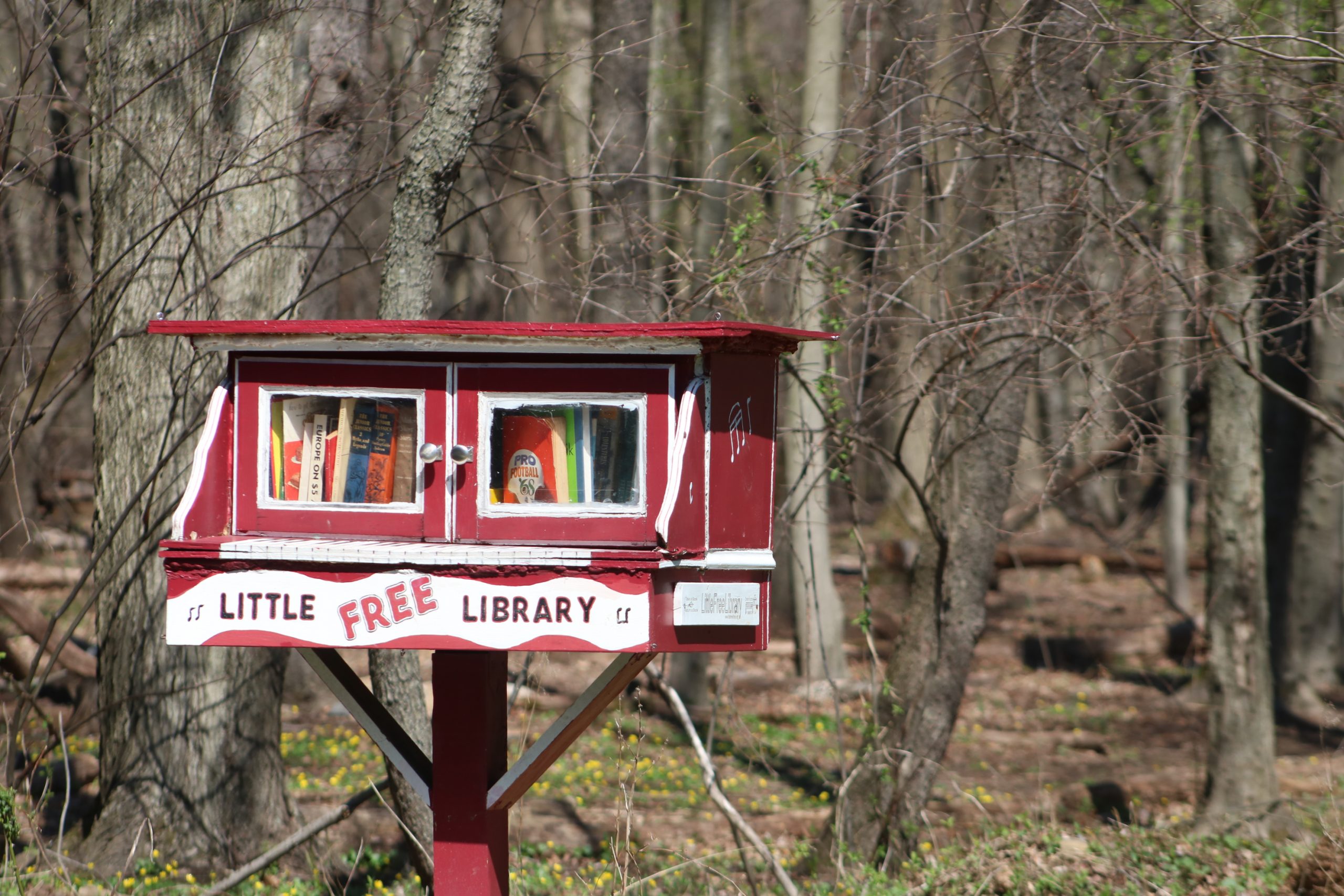 PHOTOS: Springtime Walk At Silver Lake Nature Center - LevittownNow.com
