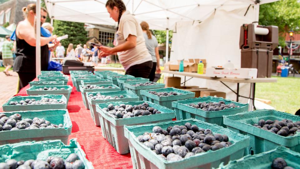 What’s Up This Weekend: 20+ Summer Activities For Everyone To Enjoy ...