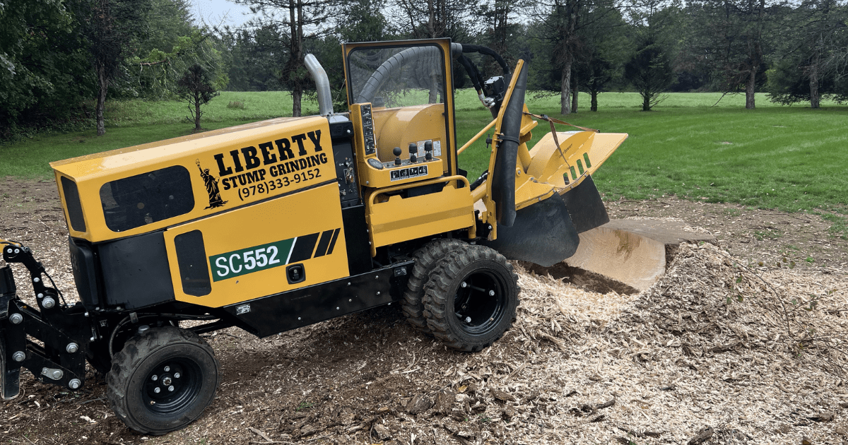 Our Work | Liberty Stump Grinding