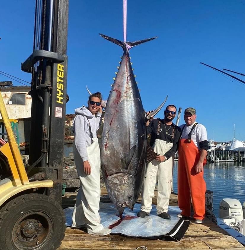 LI Fishing Report – Long Island Boating World