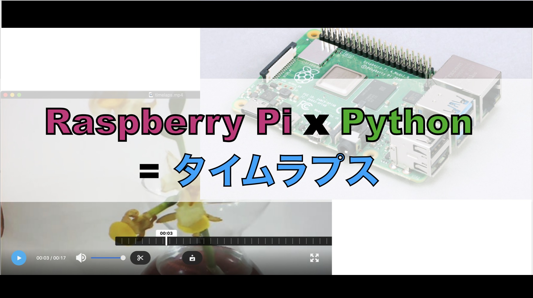 ラズベリーパイ4とUSBカメラ、PythonのOpenCVで タイムラプス動画 を作成した