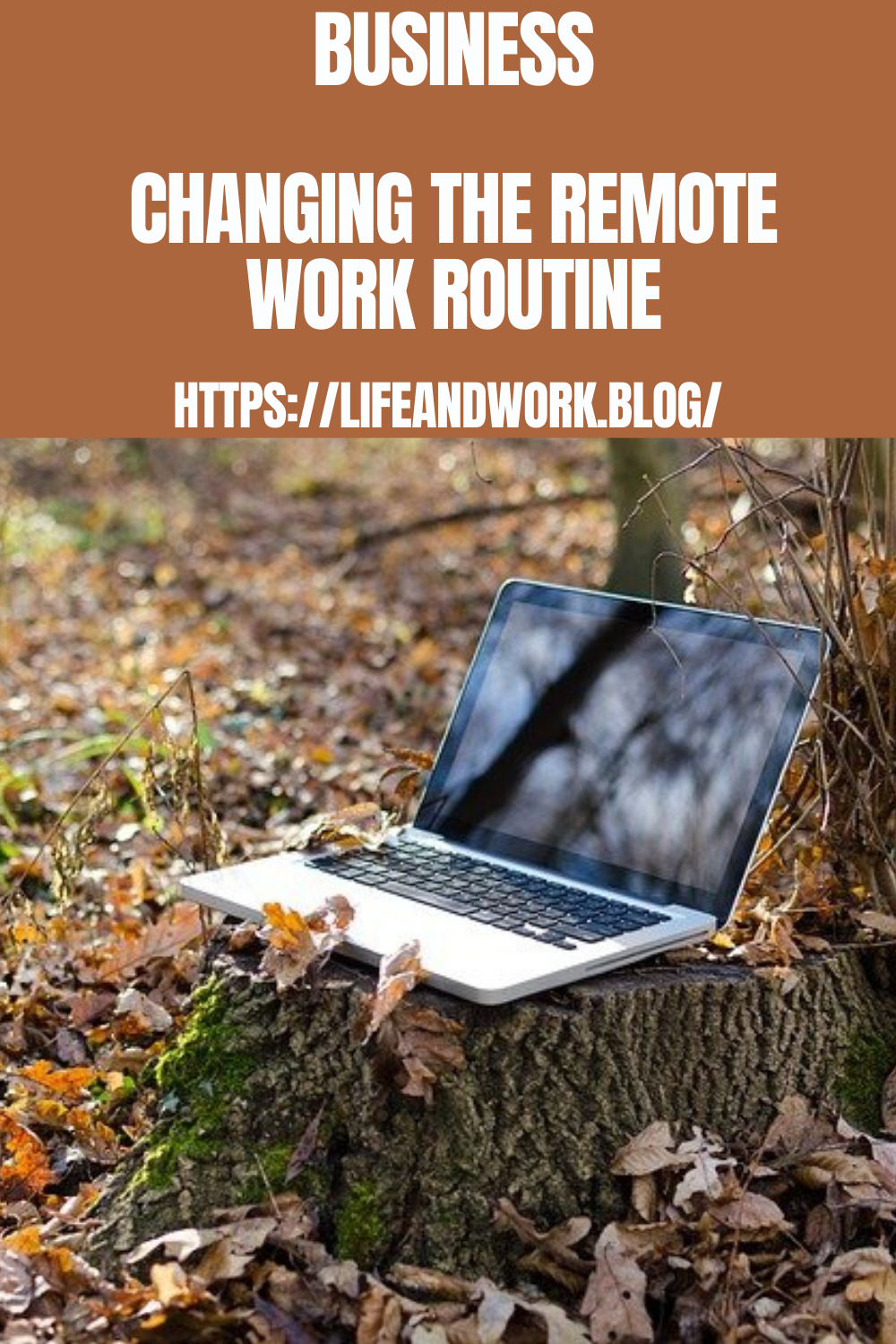 Changing the Remote Work Routine