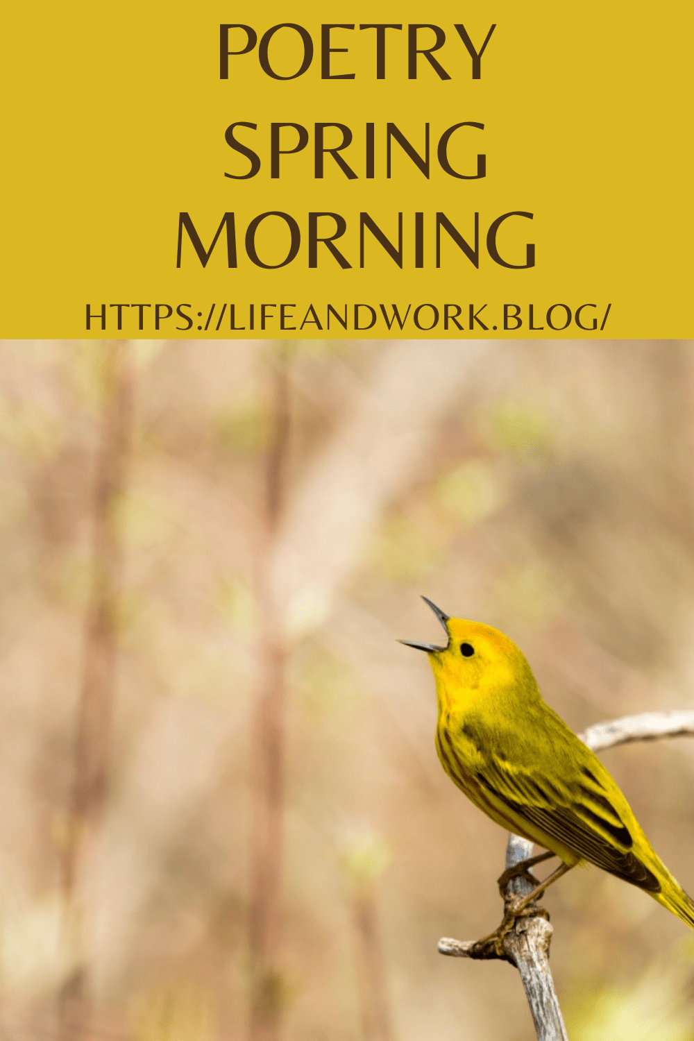 Poetry – Spring Morning