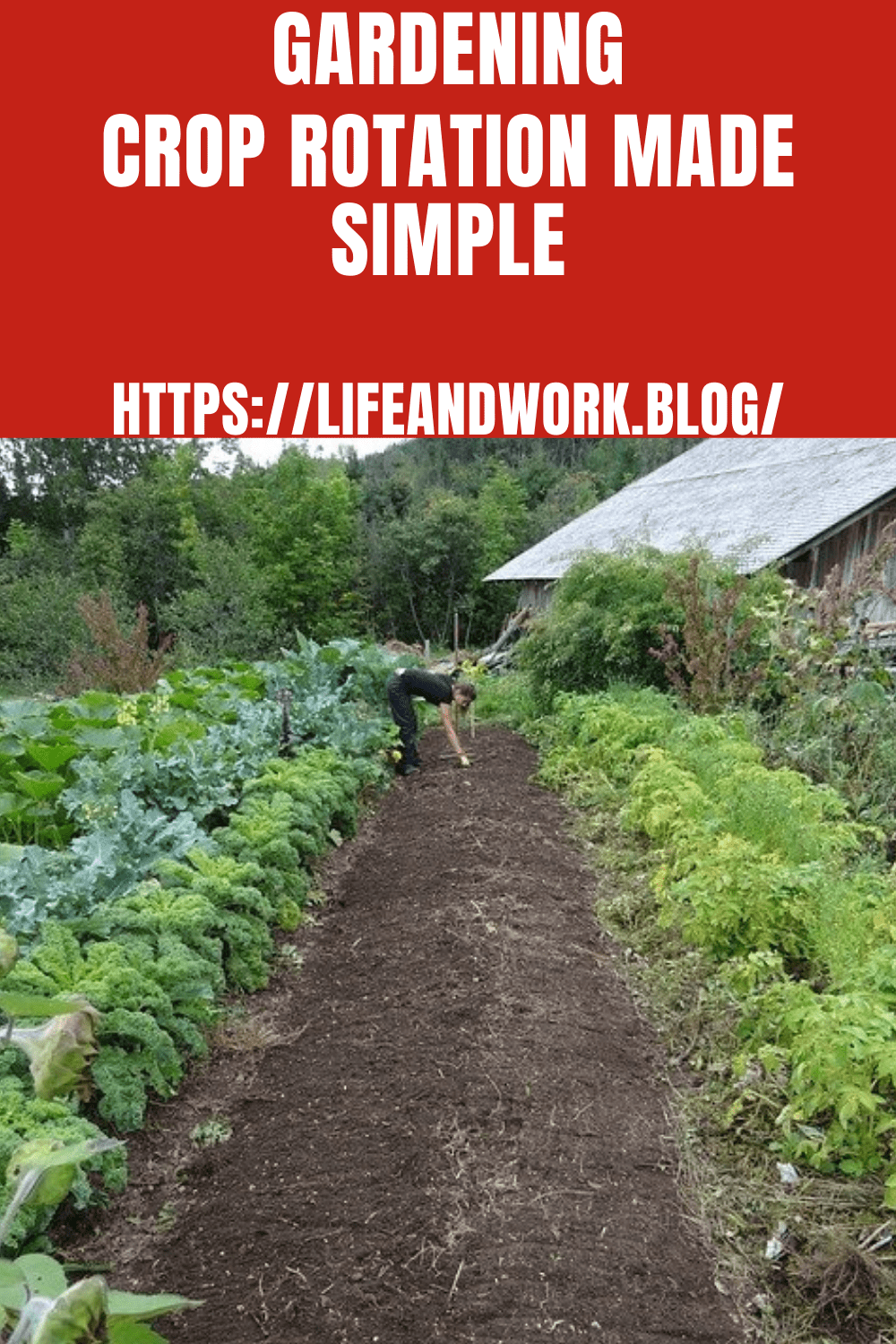 Gardening - Crop Rotation Made Simple