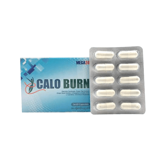 CALO BURN 10'S - LifePlus Health and Beauty