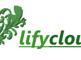 Lifycloud File Transfer Up To 10 Gb Free No Registration Required