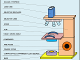 Lightmicroscopes And Microscopy Light Microscope