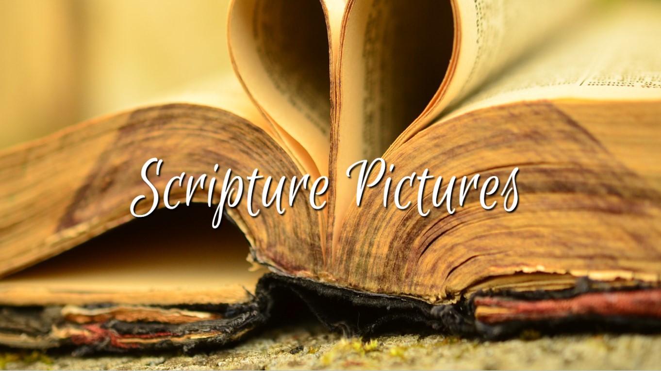 Scripture Pictures - LIGHT IN DARKNESS