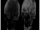 Volume Rendering For Visualizing Volume Models