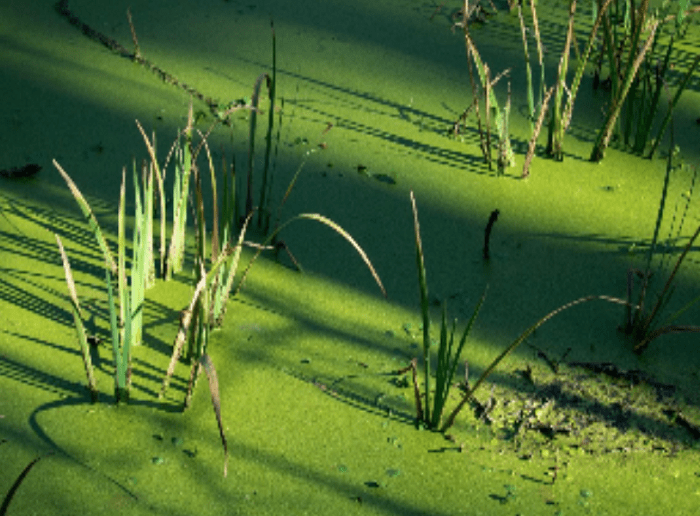 Understanding sensitive soils to improve quality of surrounding water ...