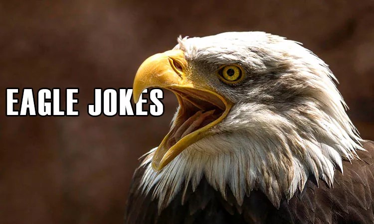 Here are the 12 Eagle Jokes that take your stress away
