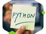 Python Development Liki Mobile Solutions