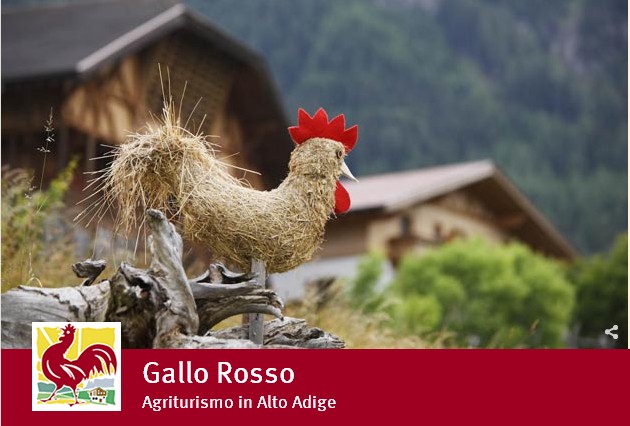 Sapori del Maso: guida gratuita Gallo Rosso agli agriturismi tipici ...