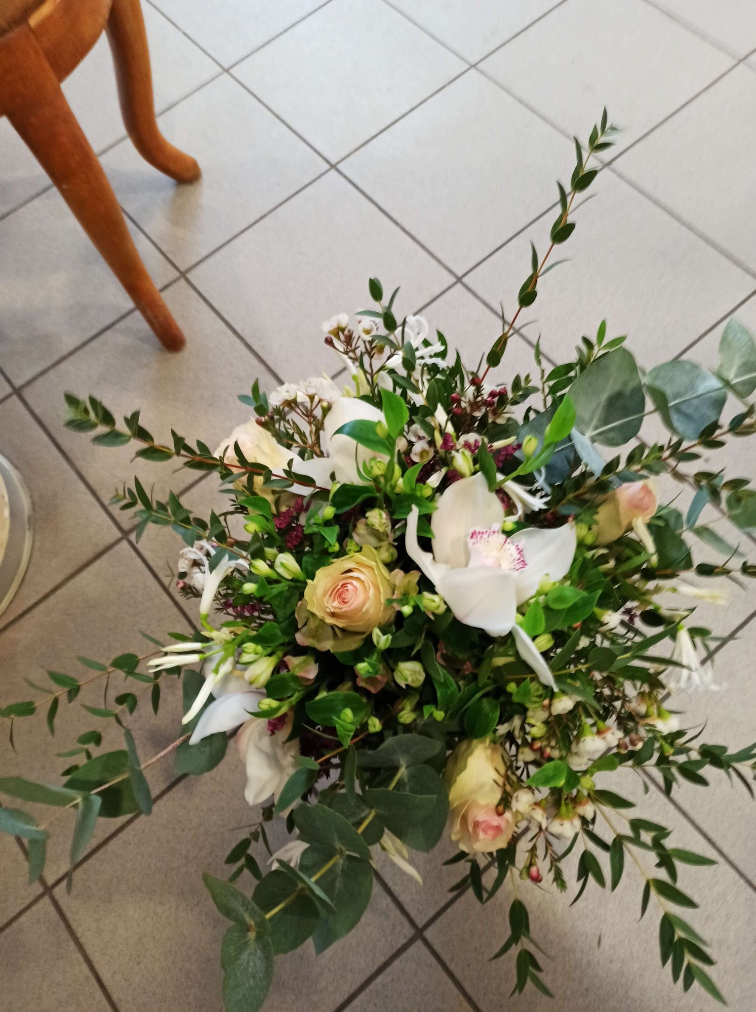 Lillekimp – Lilleseadja.ee