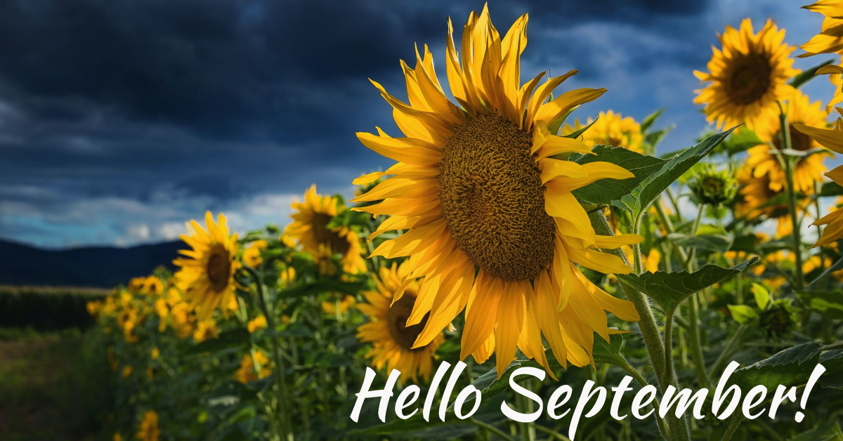 Happy National Chocolate Milkshake Day! | Lillian Lake