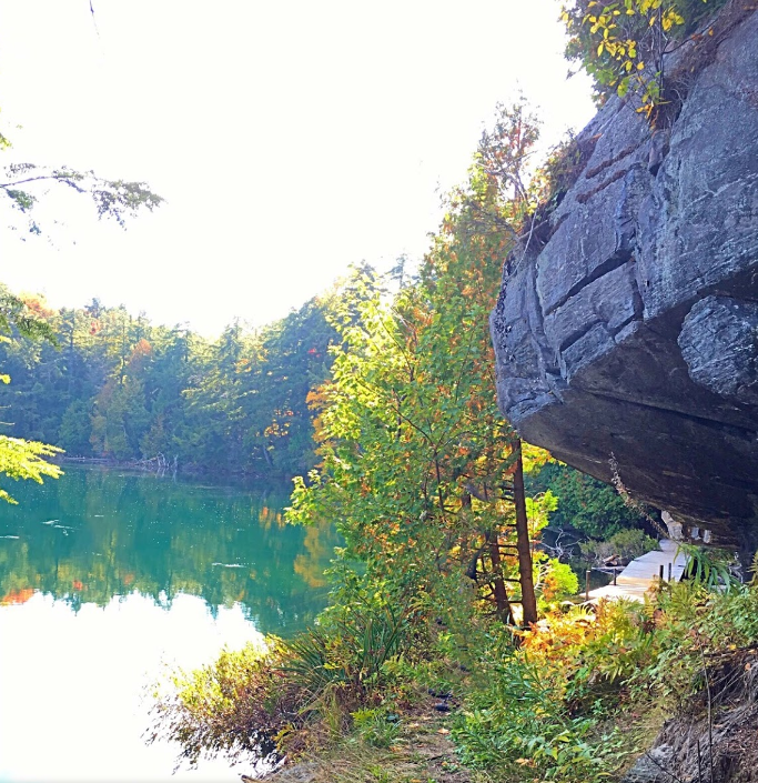 trails – Limberlost Forest and Wildlife Reserve