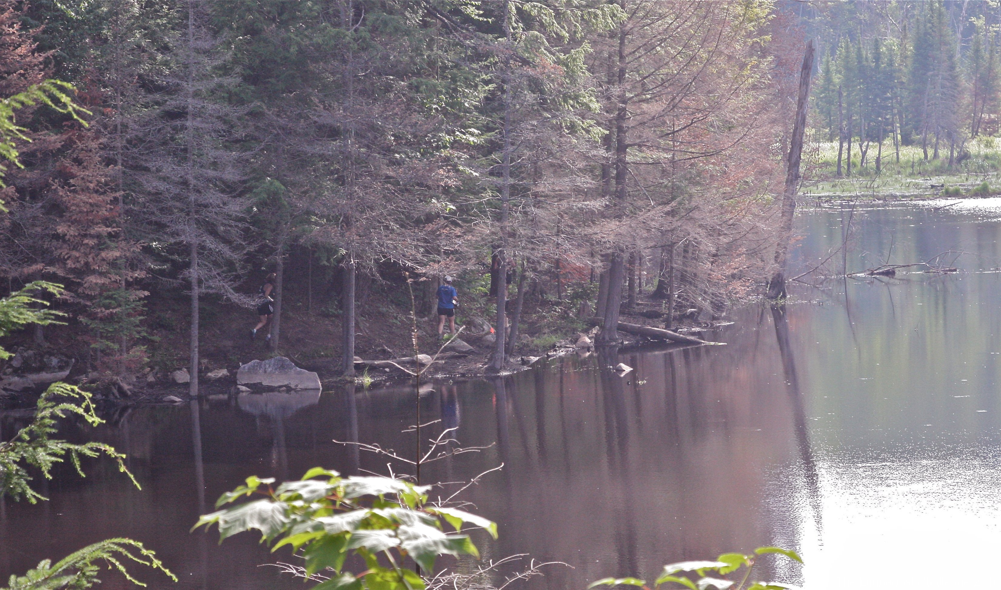 Photo Gallery – Limberlost Forest and Wildlife Reserve