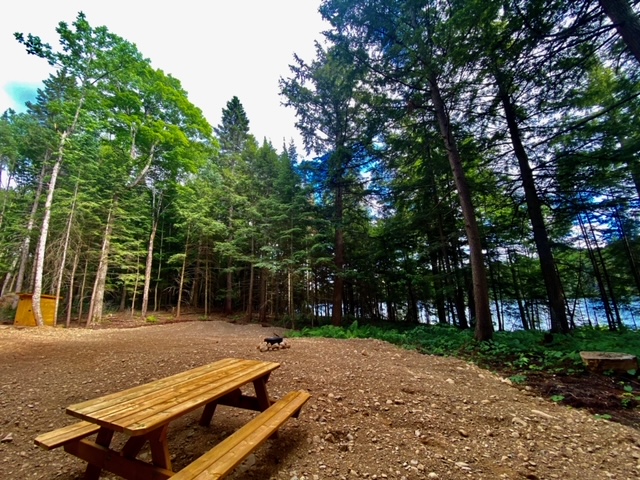 image0-4 – Limberlost Forest and Wildlife Reserve