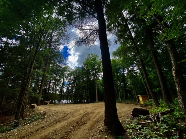 image13-2 – Limberlost Forest and Wildlife Reserve